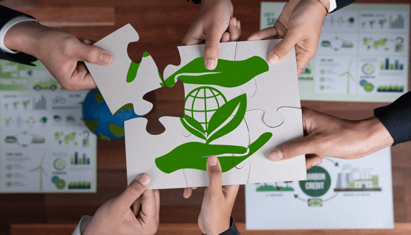 15 estrategias de sustentabilidad en empresas